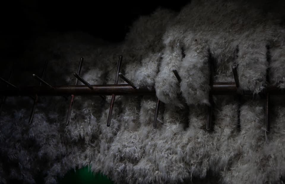 Who We Are – Allied Feather + Down